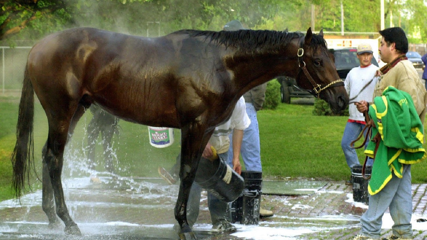 Churchill Downs Winner’s Circle | Auction Packages