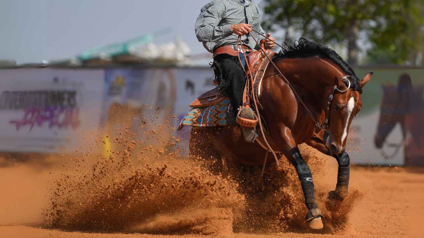 National Finals Rodeo | Auction Packages