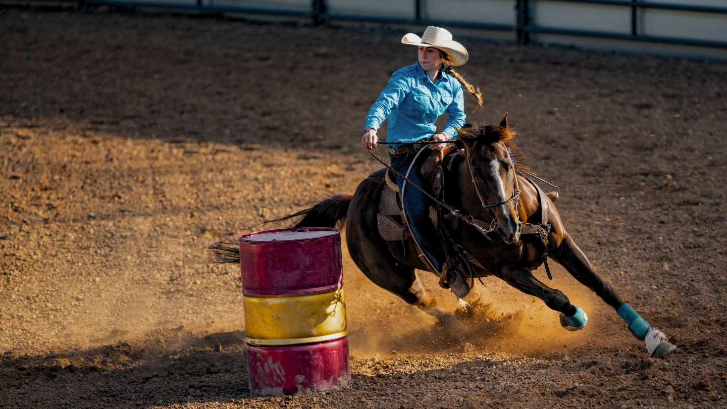 National Finals Rodeo | Auction Packages