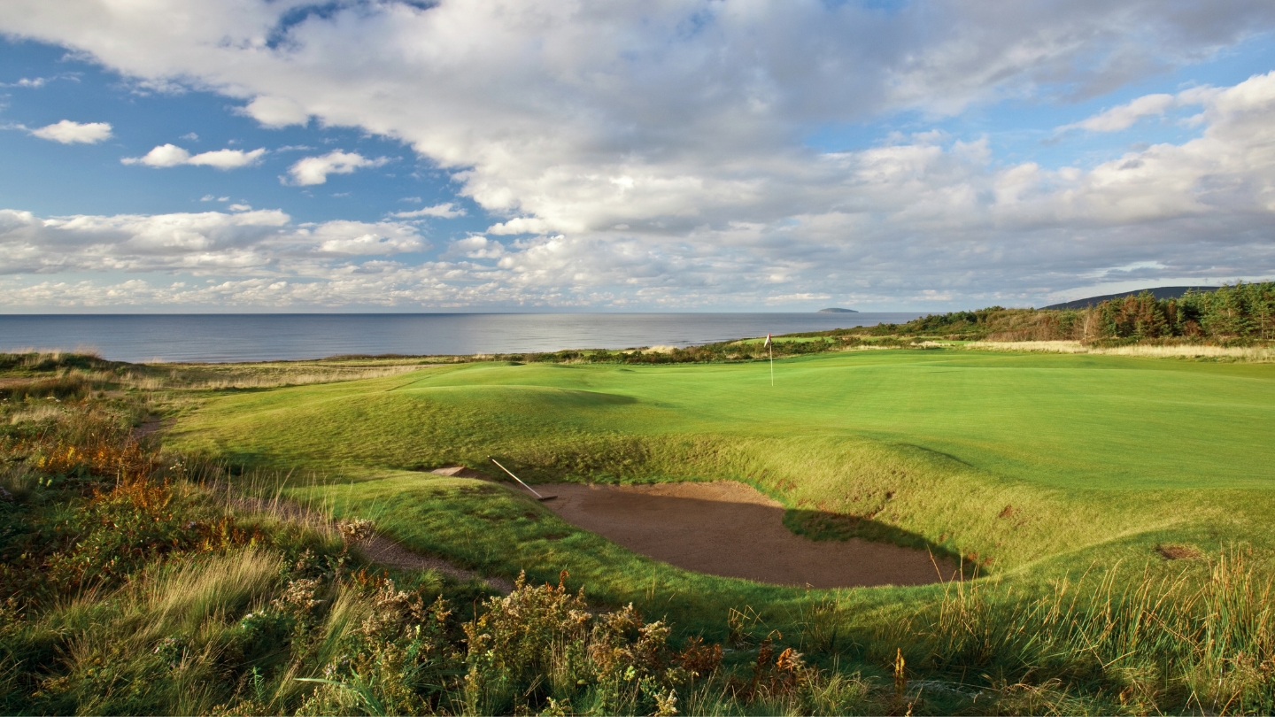 Up and Down Dublin | Auction Packages